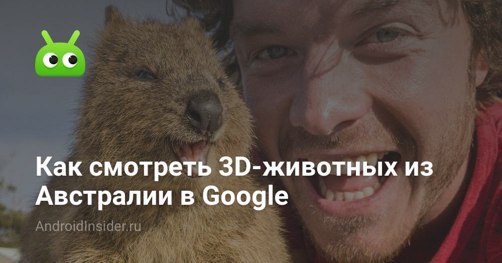 Как смотреть 3D-животных из Австралии в Google - AndroidInsider.ru